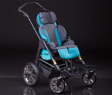 Bingo Evolution Stroller | Mount'n Mover